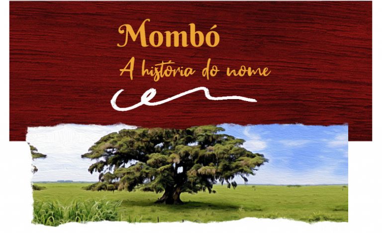 MOMBÓ – Mombó